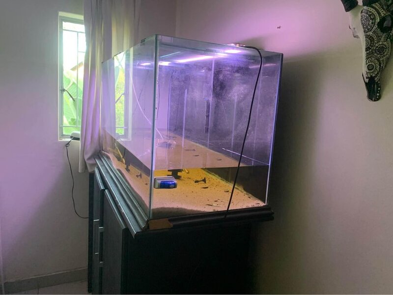 For Sale: - 4ft tank with stand | Tropical Aquariums SA